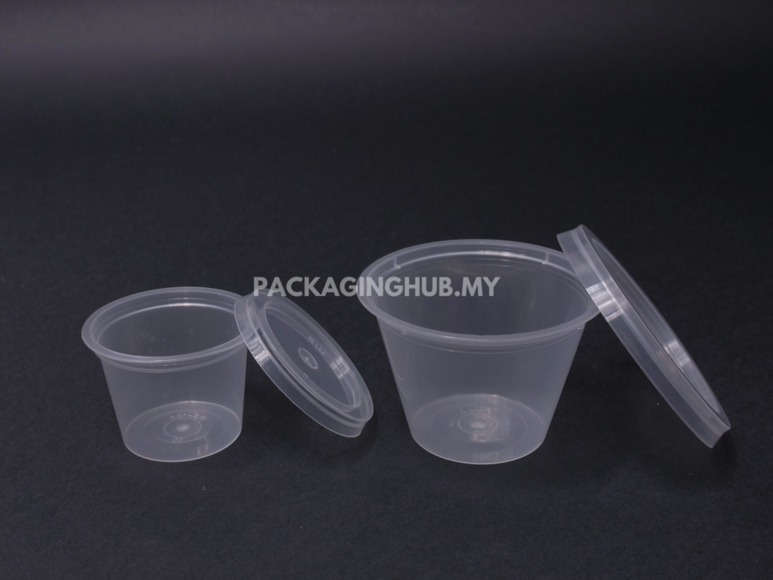 MS P 100 - PackagingHub.my